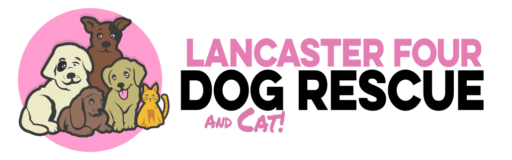 Puppy and kitten rescue adoptions - Lancaster Four Dog Rescue